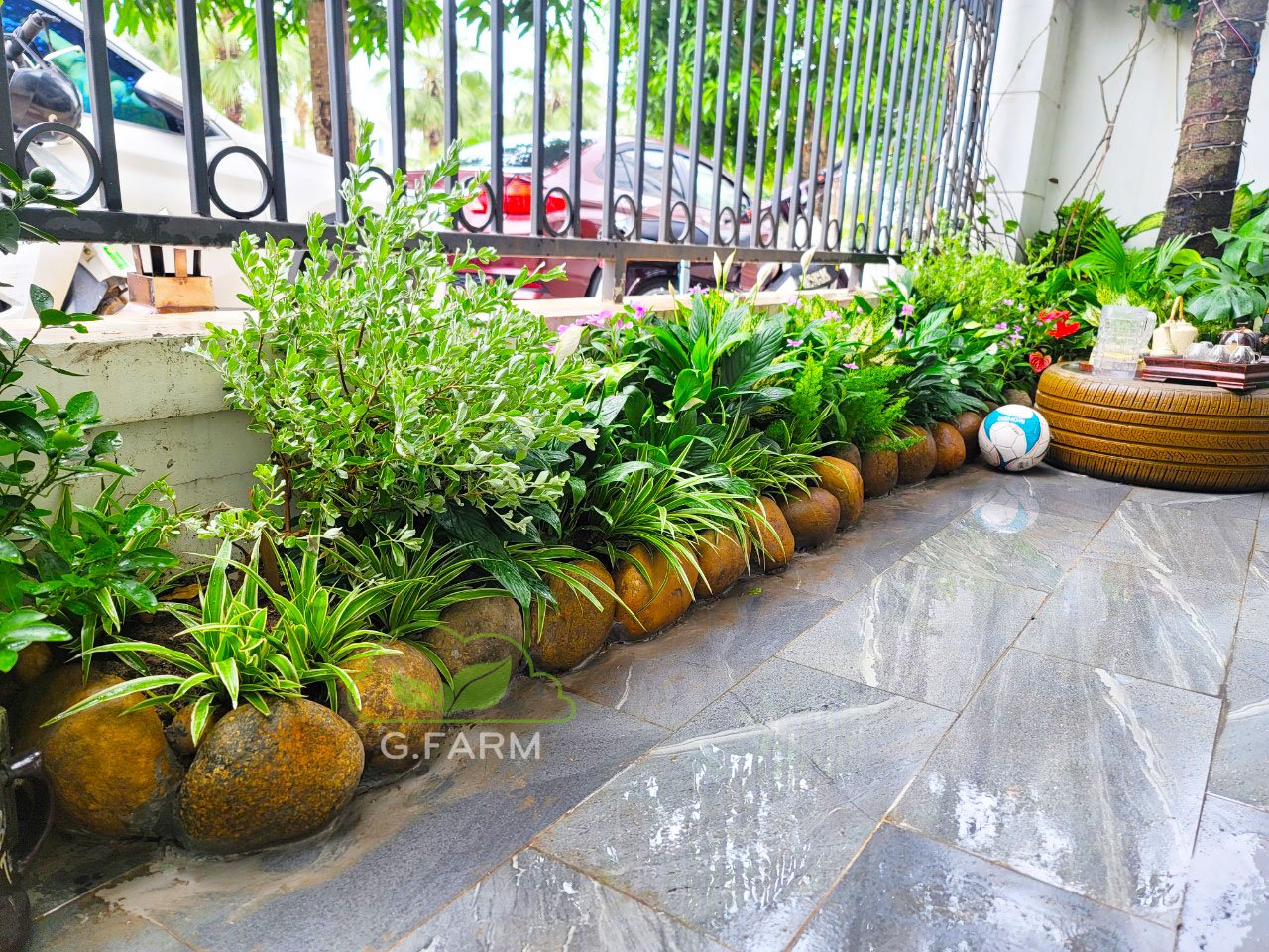 Mẫu thiết kế Rau sạch sân vườn (Mã GF67), Gfarm nhận thi công thiết kế ...